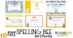 FREE Spelling Bee Certificate Templates - Customize Online